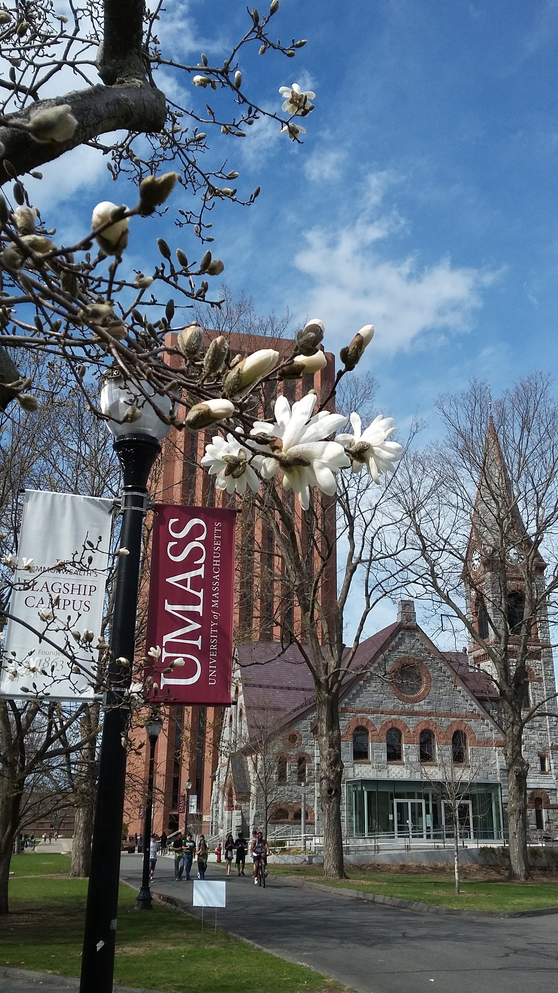 News – Kaltashov Lab