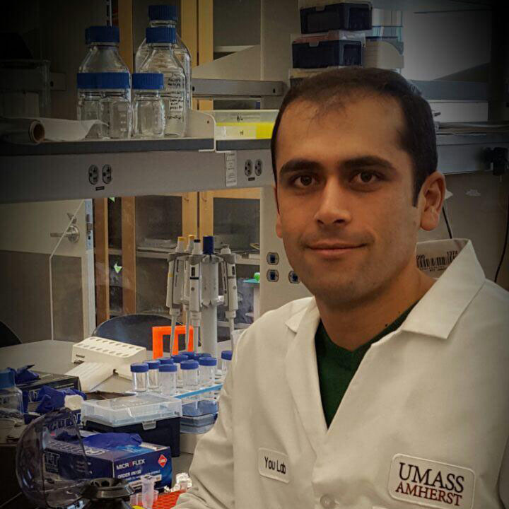 Current Members – YOU Research Group – Nucleic Acid Chemistry and ...